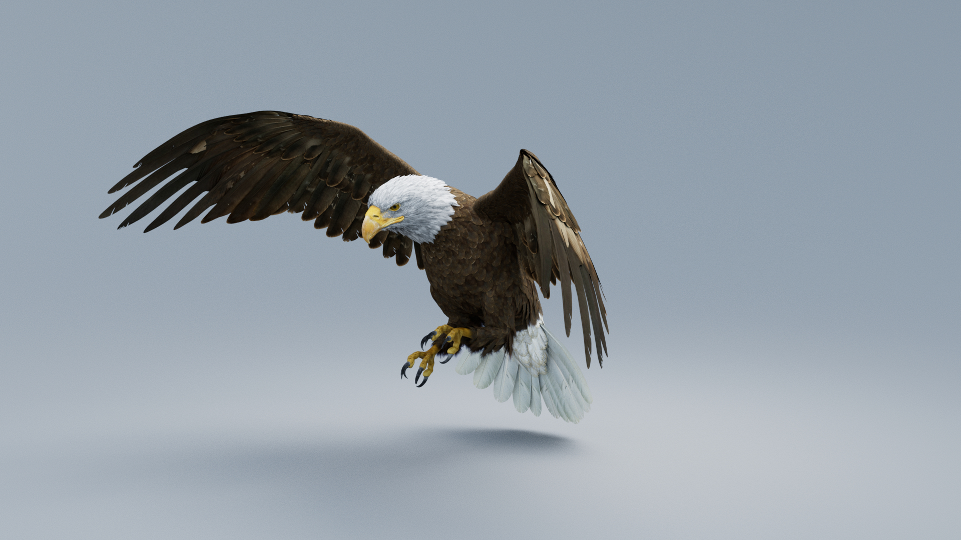 3D American Bald Eagle ANIMATED Model - TurboSquid 2315169