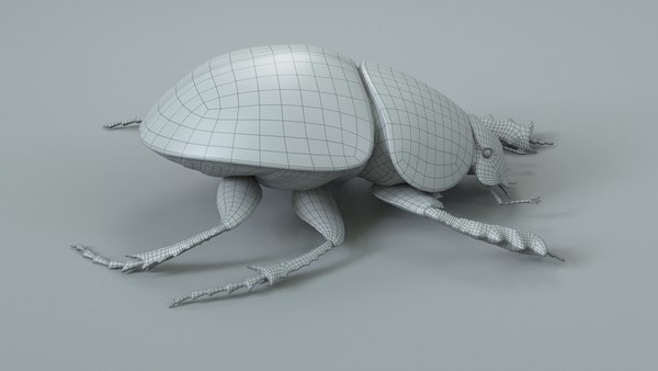 modelo 3d Escarabajo Escarabajo Negro Rigged Xgen - TurboSquid 2226681