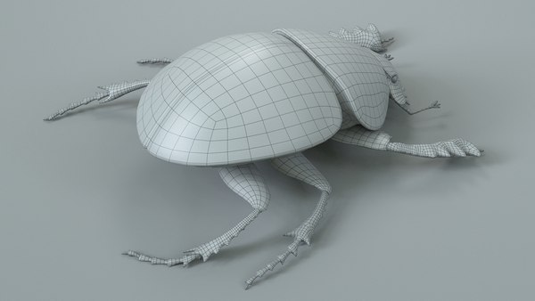 modelo 3d Escarabajo Escarabajo Negro Rigged Xgen - TurboSquid 2226681