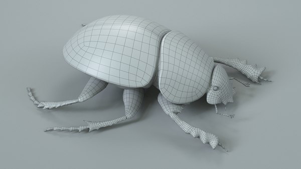 modelo 3d Escarabajo Escarabajo Negro Rigged Xgen - TurboSquid 2226681