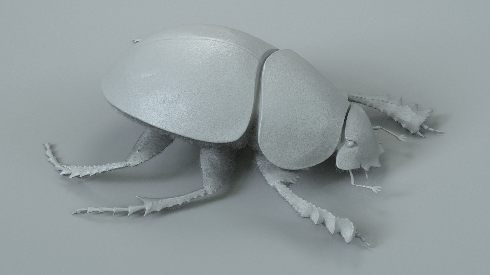3D Black Scarab Beetle Rigged Xgen Model - TurboSquid 2226681