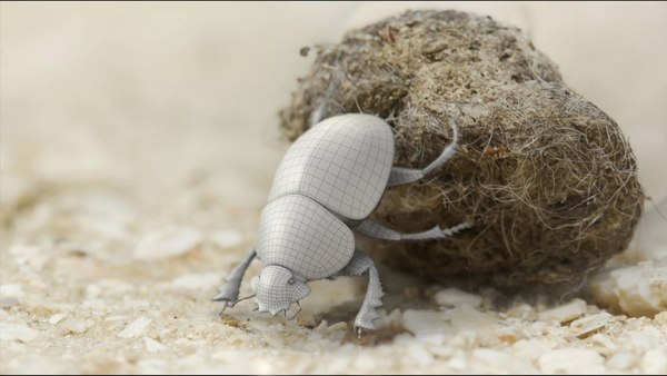 modelo 3d Escarabajo Escarabajo Negro Rigged Xgen - TurboSquid 2226681