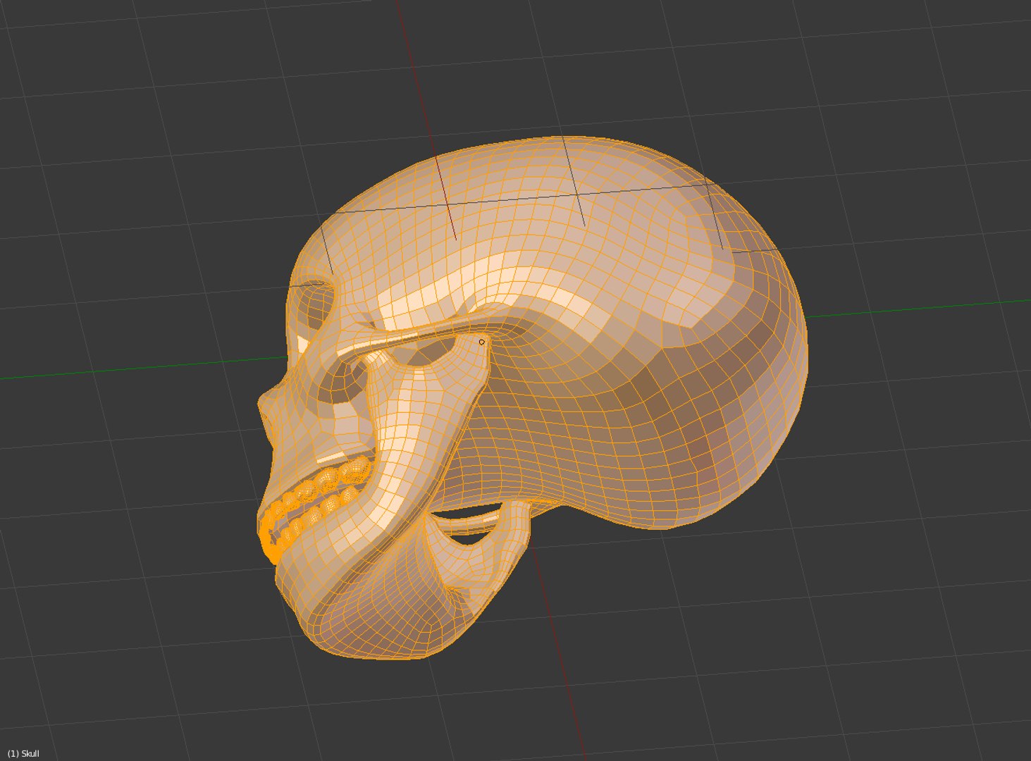 3d Skull Model