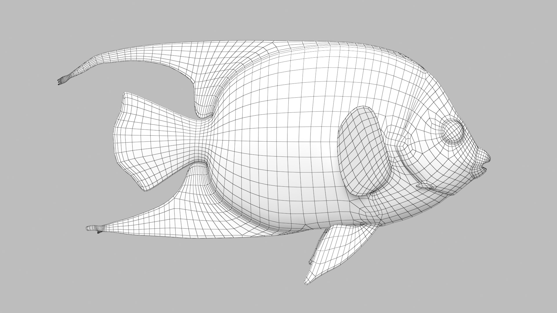 3D Queen Angelfish Model - TurboSquid 1908974