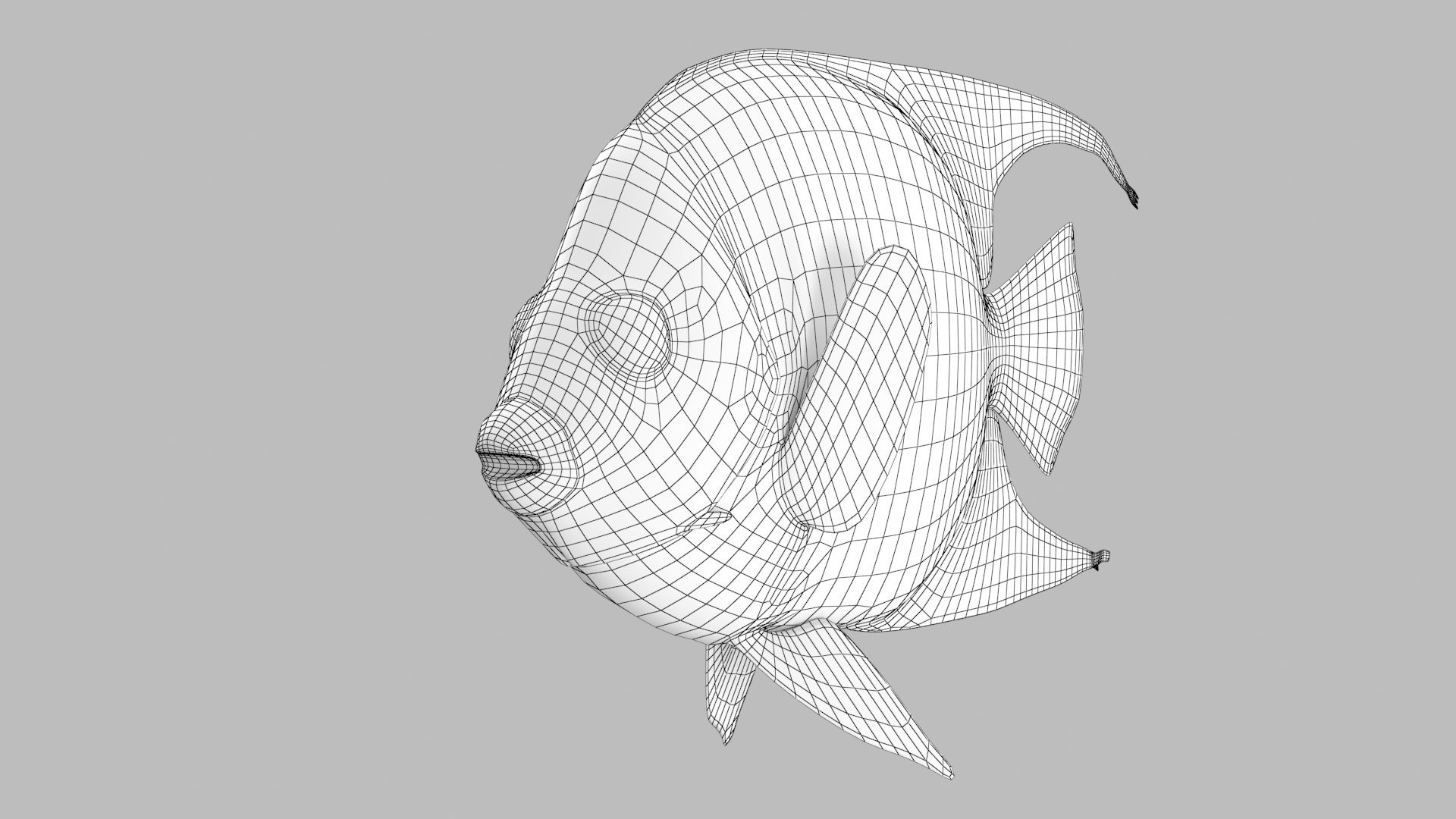 3D Queen Angelfish Model - TurboSquid 1908974