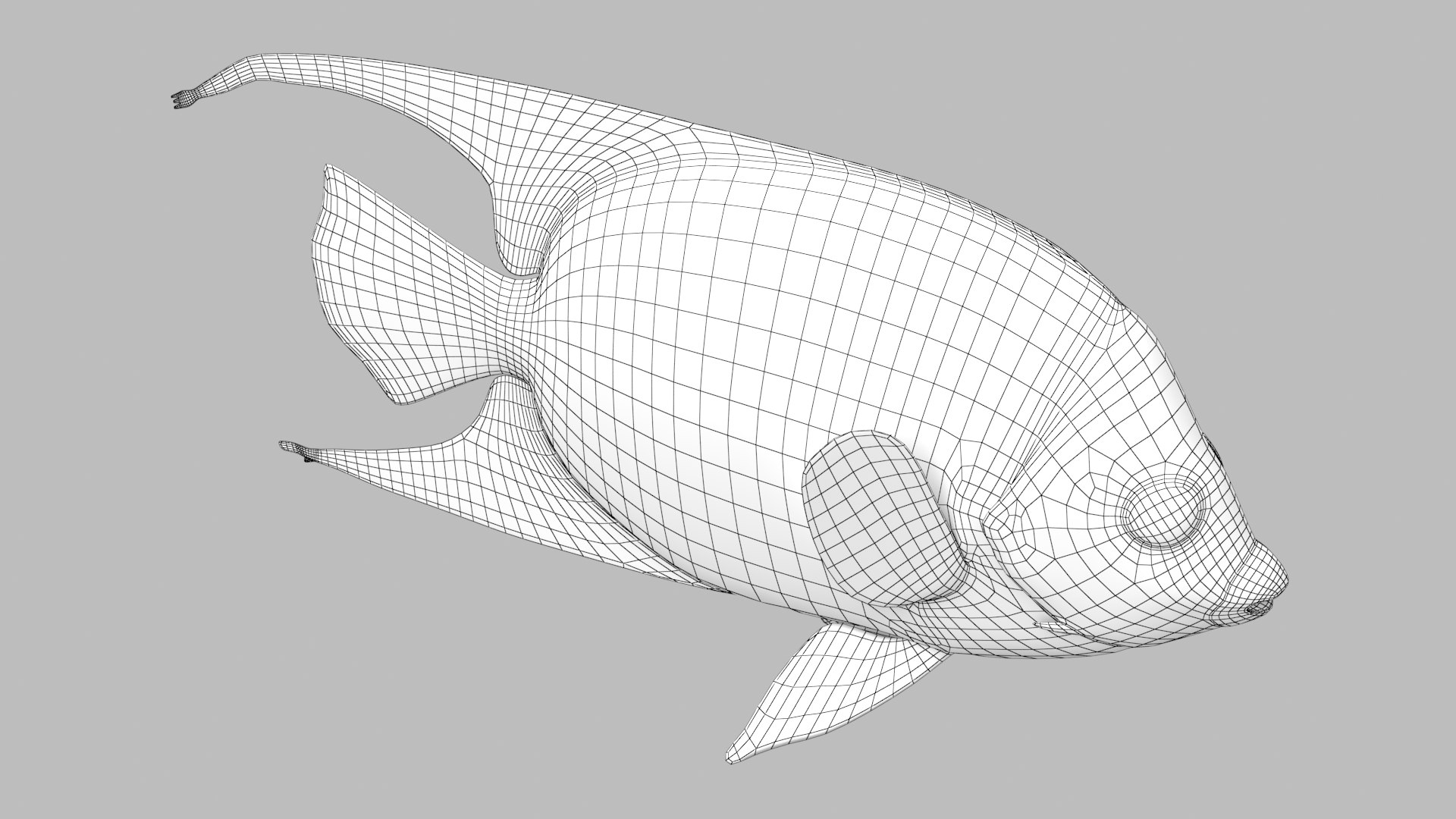 3D Queen Angelfish Model - TurboSquid 1908974