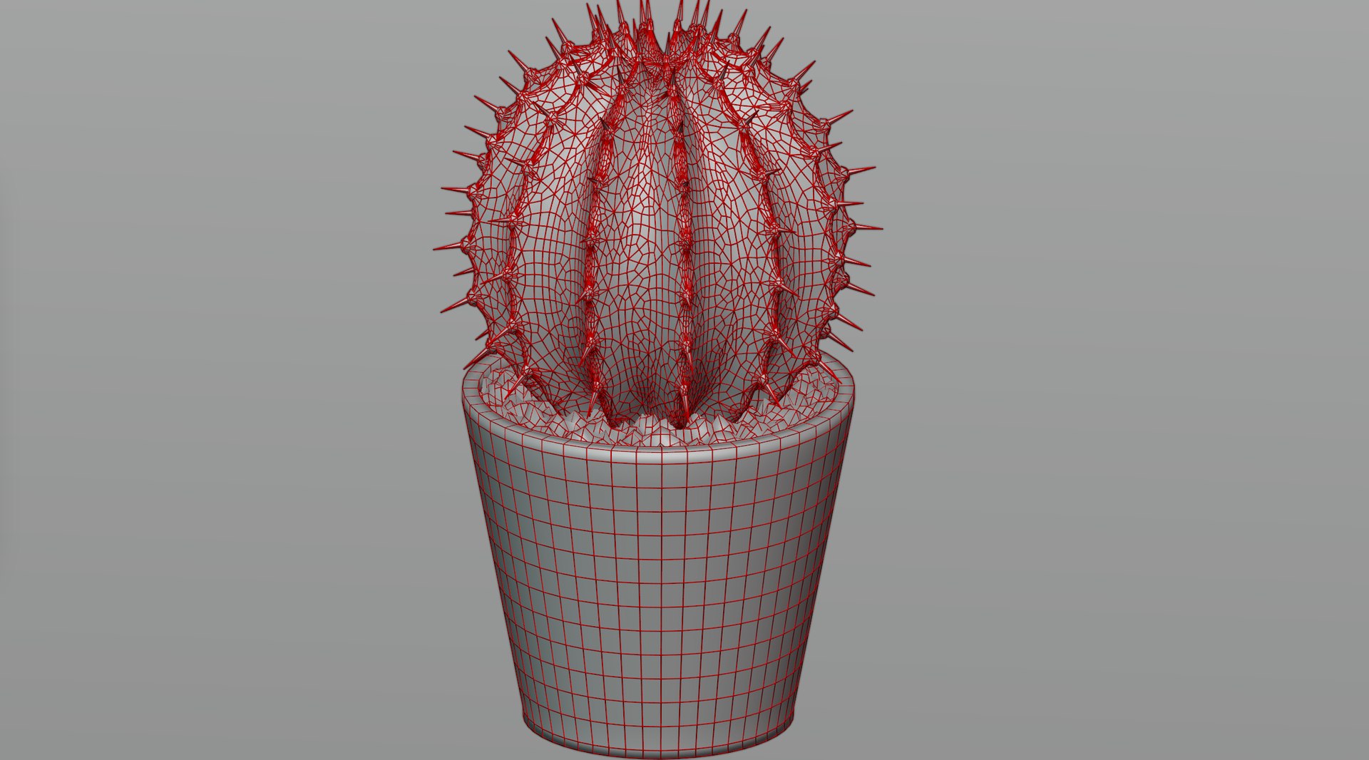 3D model Cactus in a pot - TurboSquid 1808426