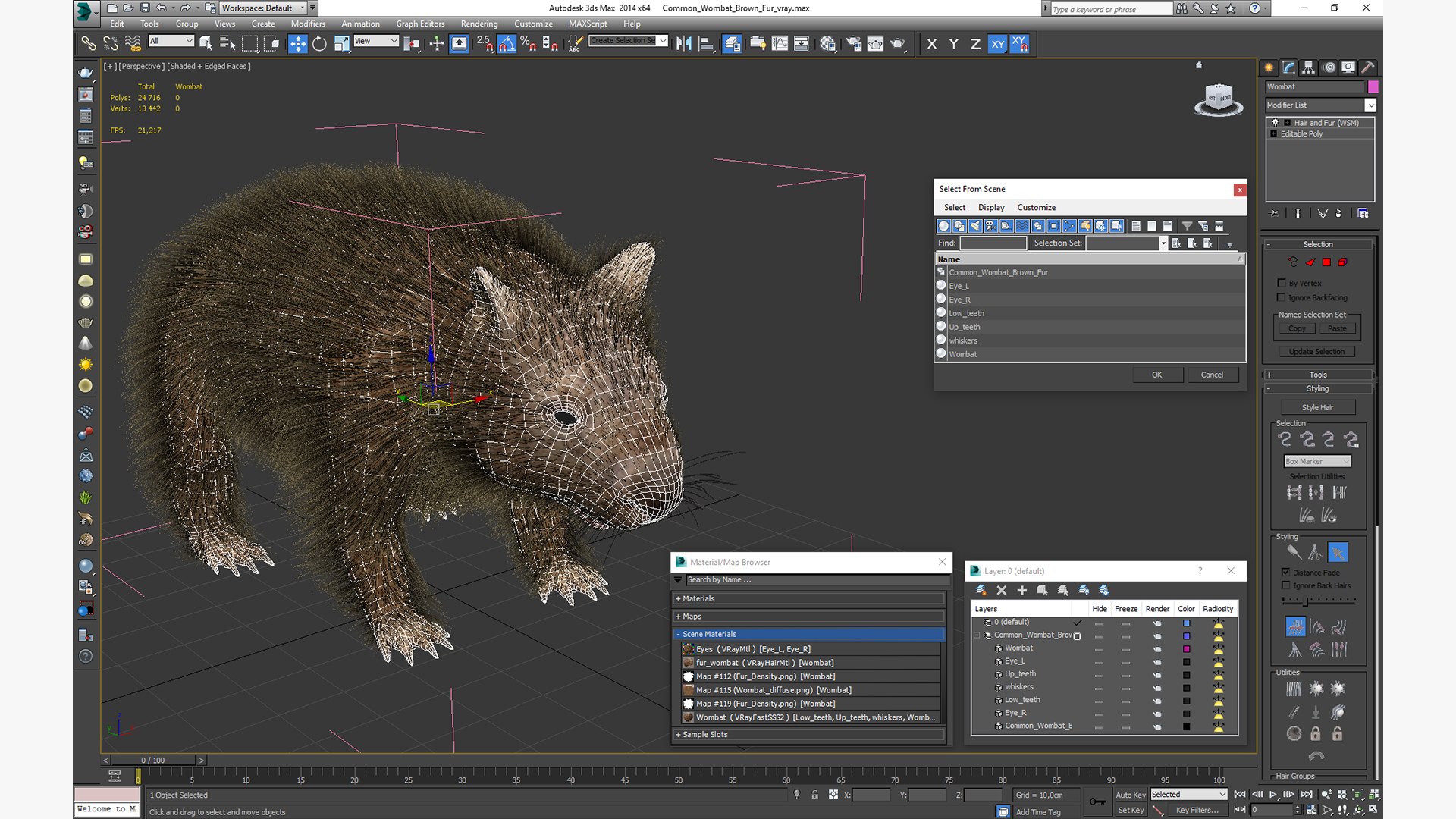 Common Wombat Brown Fur 3D Model - TurboSquid 2101971
