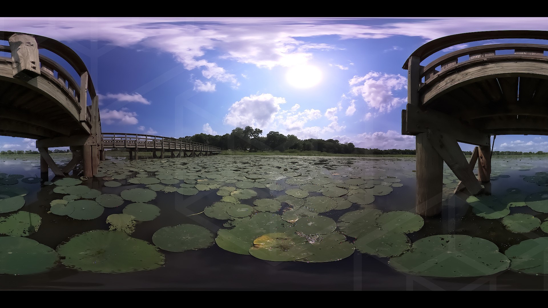 3D State Park Texas HDRI Collection Model - TurboSquid 2294279