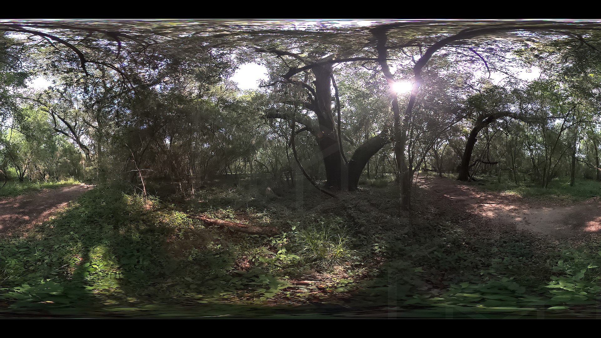 3D State Park Texas HDRI Collection Model - TurboSquid 2294279