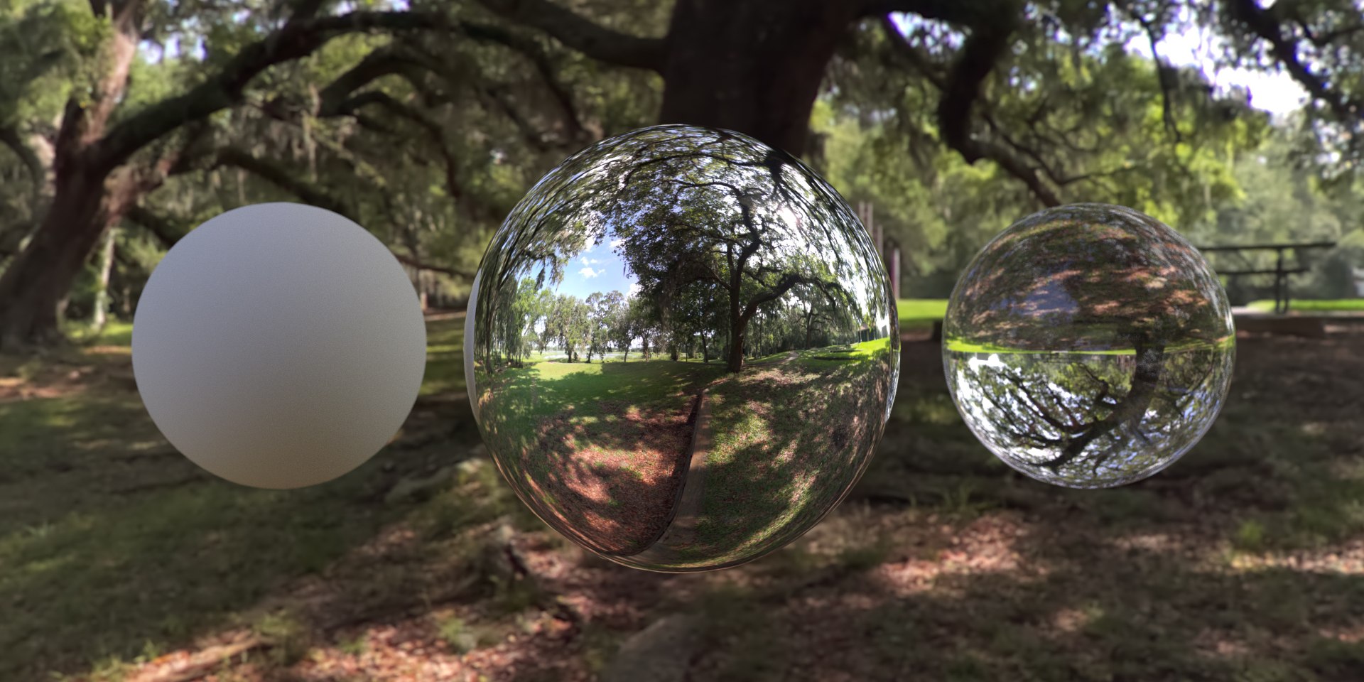3D State Park Texas HDRI Collection Model - TurboSquid 2294279