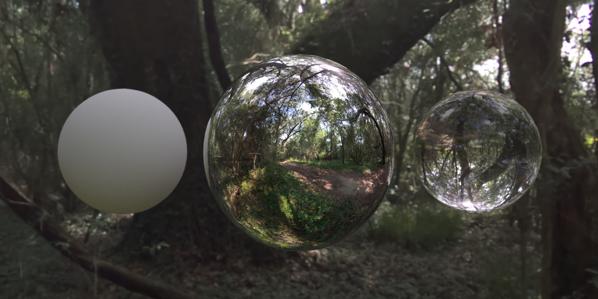3D State Park Texas HDRI Collection Model - TurboSquid 2294279