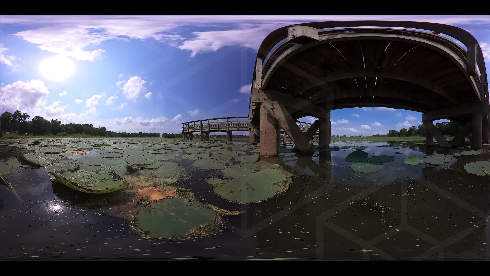 3D State Park Texas HDRI Collection Model - TurboSquid 2294279
