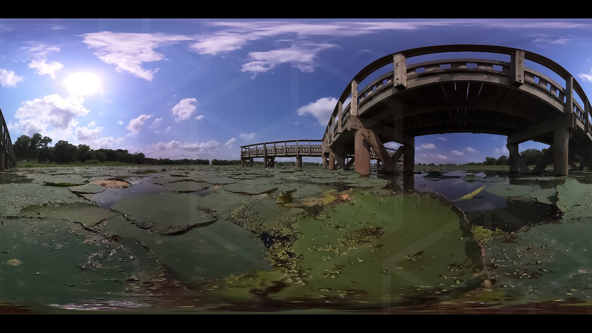 3D State Park Texas HDRI Collection Model - TurboSquid 2294279