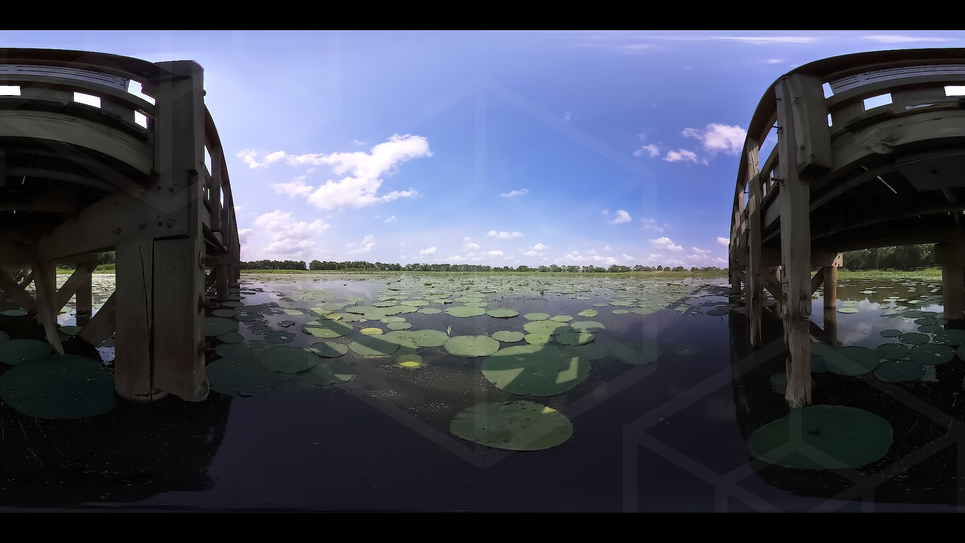3D State Park Texas HDRI Collection Model - TurboSquid 2294279