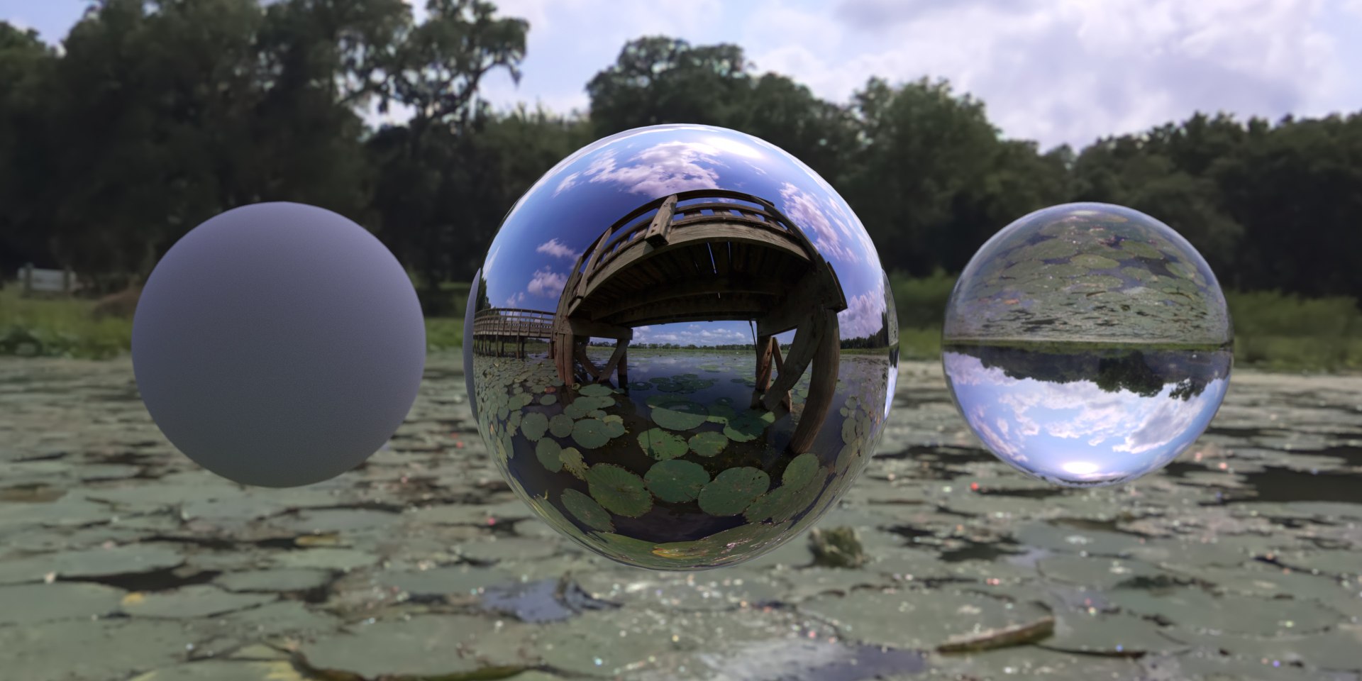 3D State Park Texas HDRI Collection Model - TurboSquid 2294279