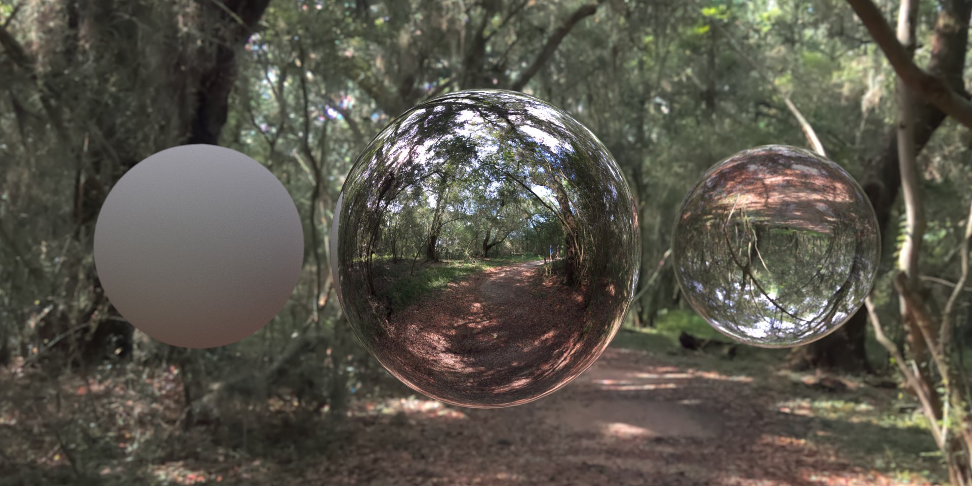 3D State Park Texas HDRI Collection Model - TurboSquid 2294279