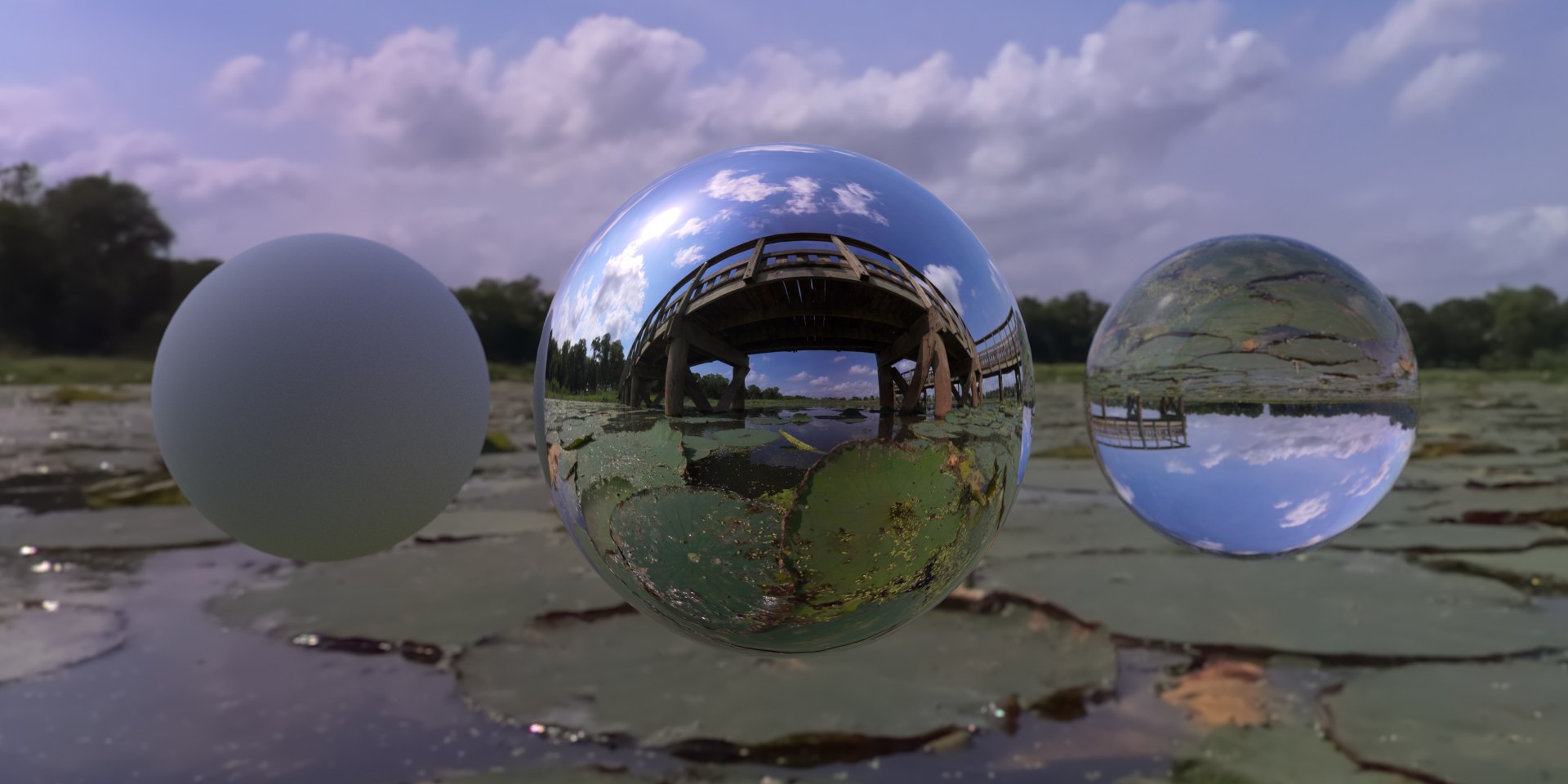 3D State Park Texas HDRI Collection Model - TurboSquid 2294279
