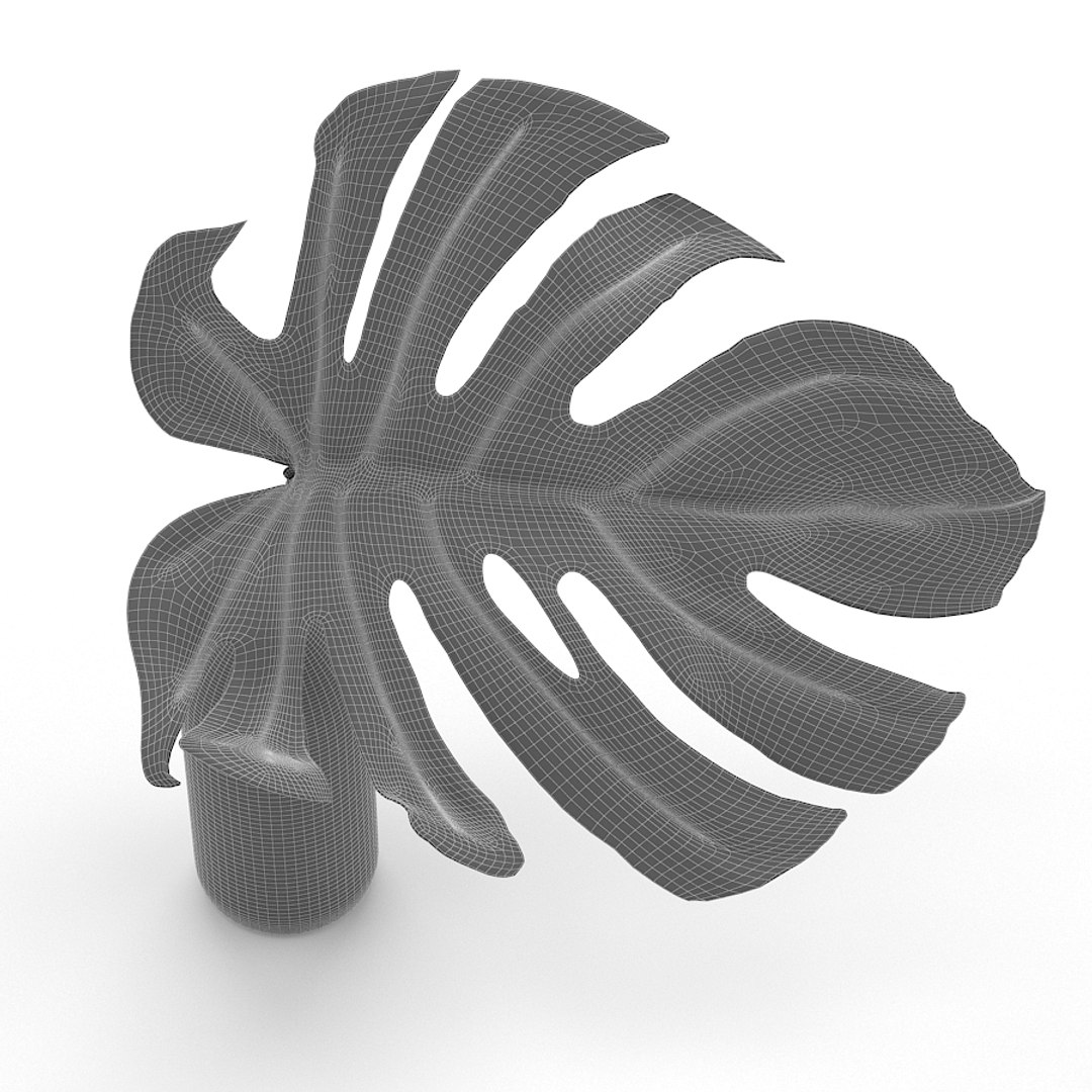 3d Monstera Leaves