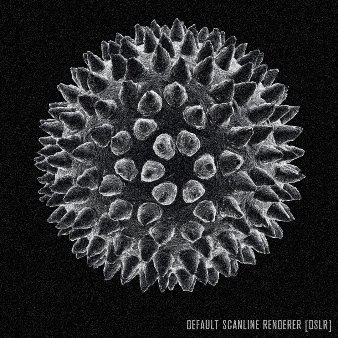 3d model pollen electron microscope
