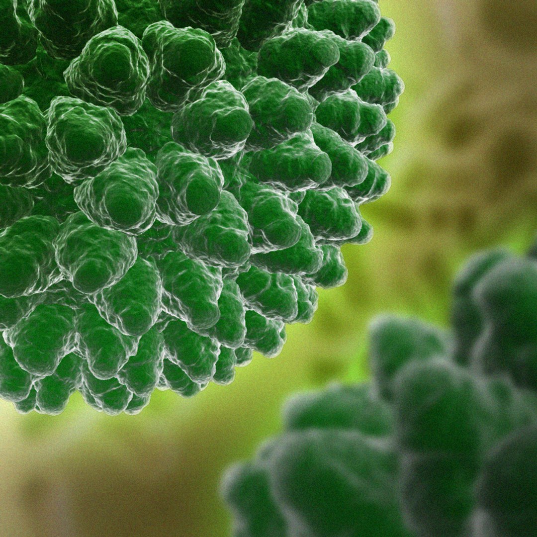 3d model pollen electron microscope