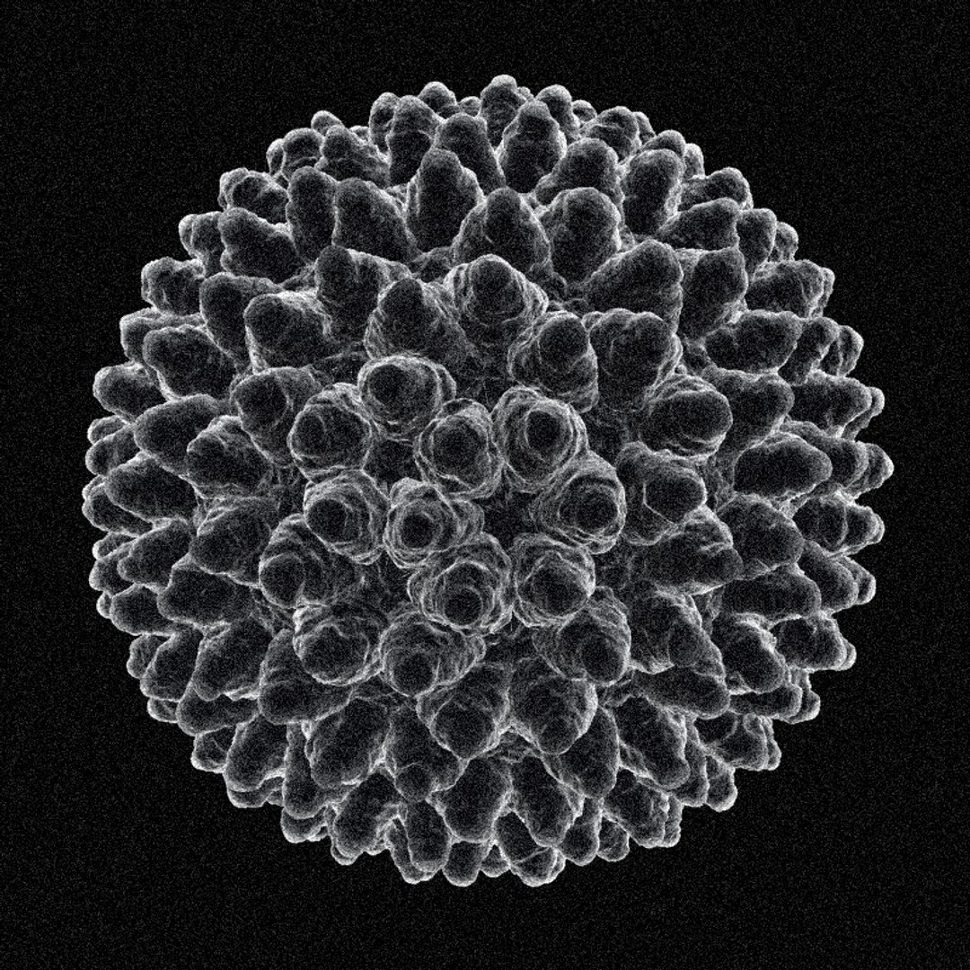 3d model pollen electron microscope