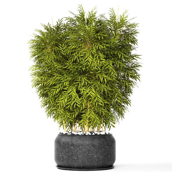 3d model bamboo