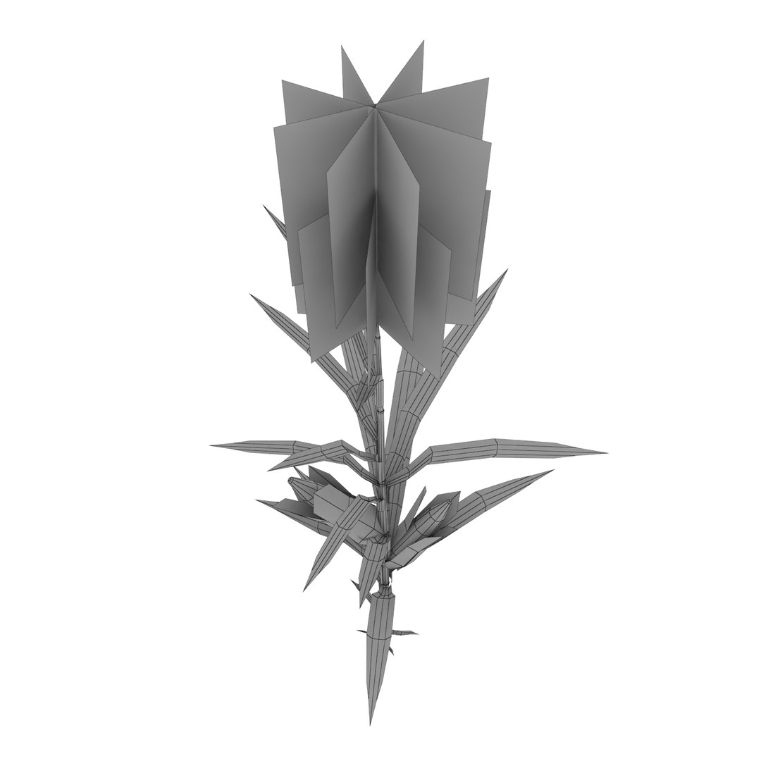 Low-poly Corn Stalk 3d Model