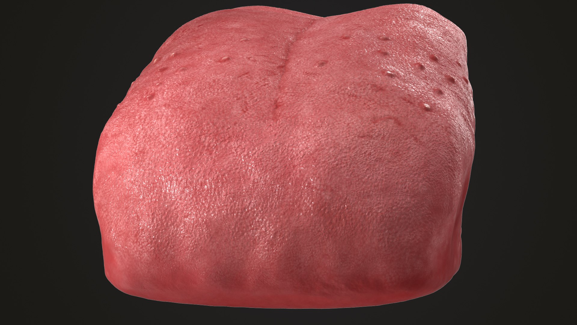 Tongue taste buds 3D model - TurboSquid 1709268