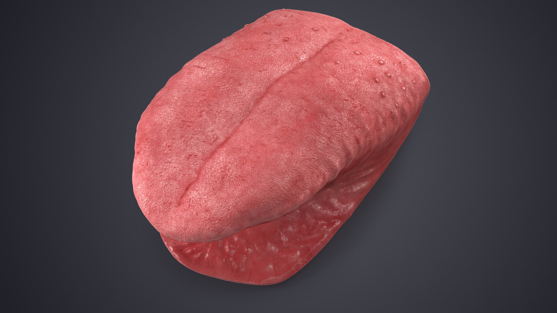 Tongue Realistic3D模型 - TurboSquid 1709268