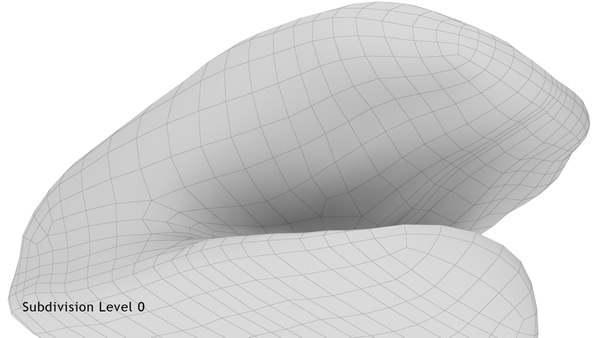 舌头写实3D模型 - TurboSquid 1709268