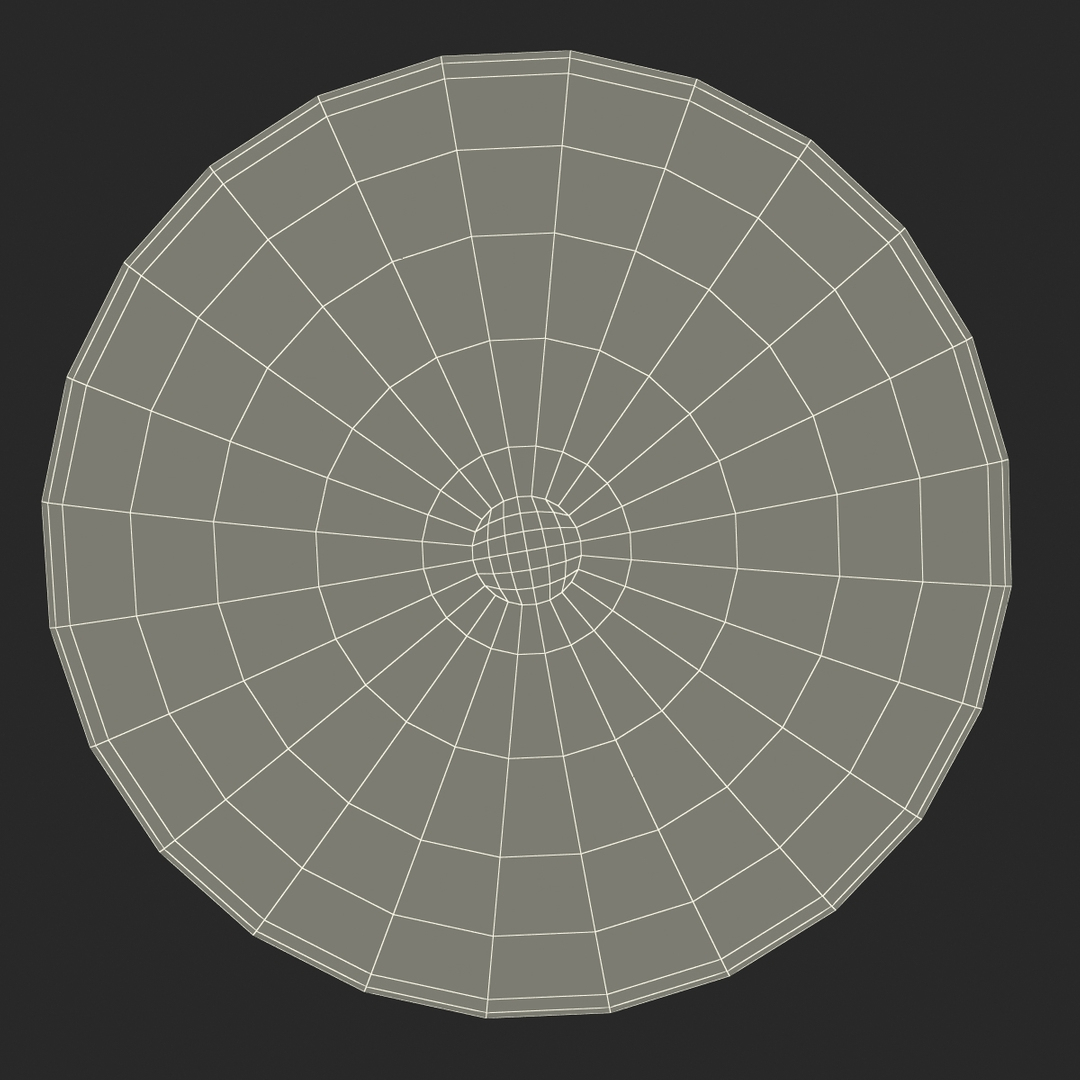 3d Flying Disc Modeled