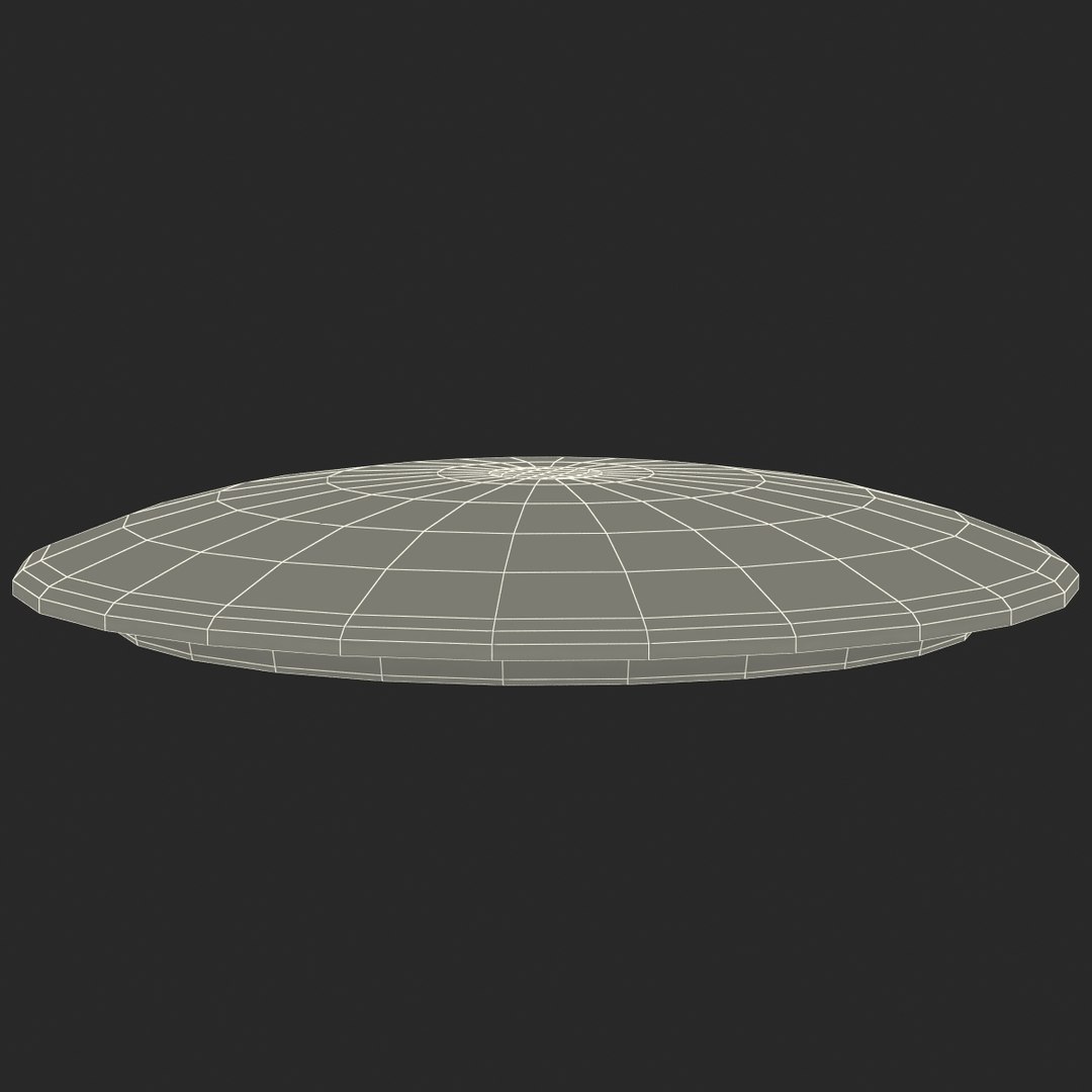 3d Flying Disc Modeled