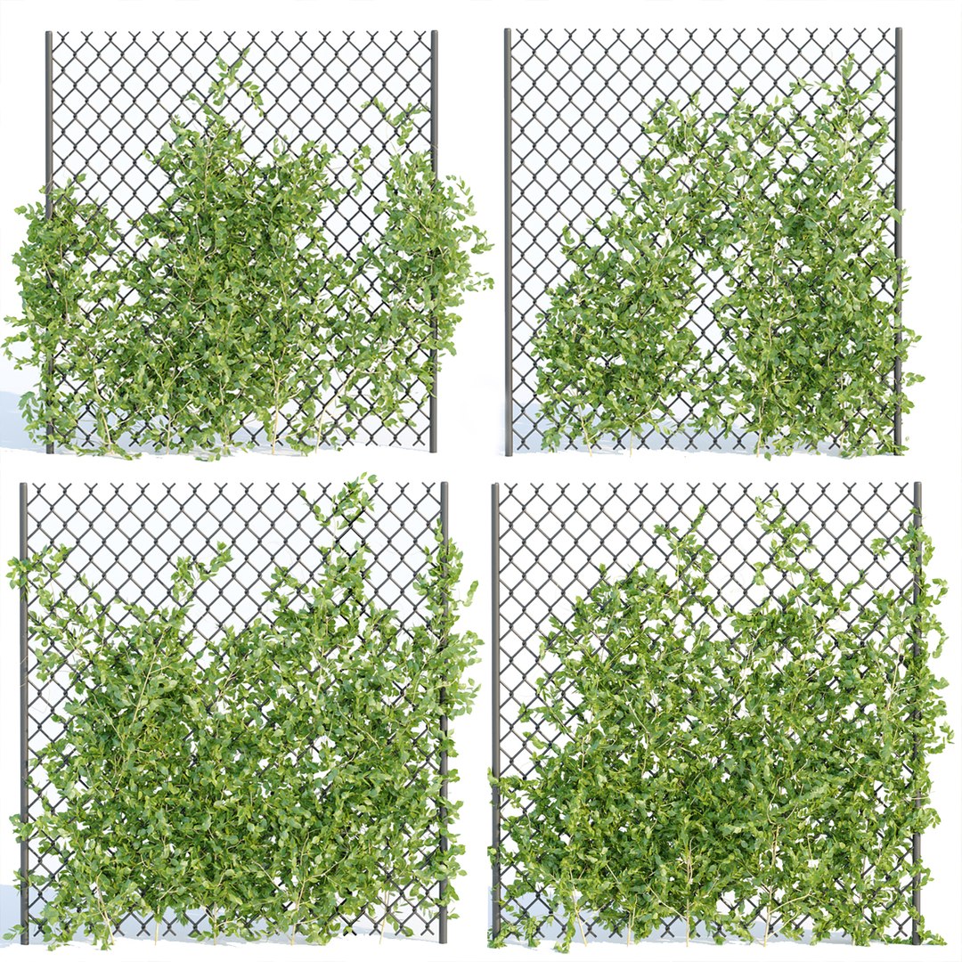 Ivy-fence Collection Vol 123 3D Model - TurboSquid 1978809