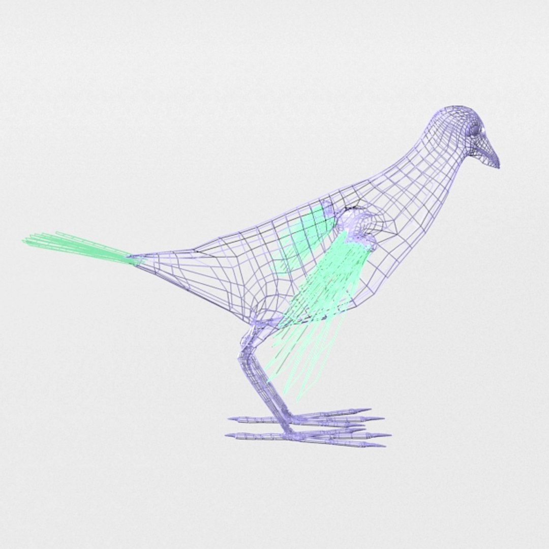 Tingua 3D Model - TurboSquid 1394953