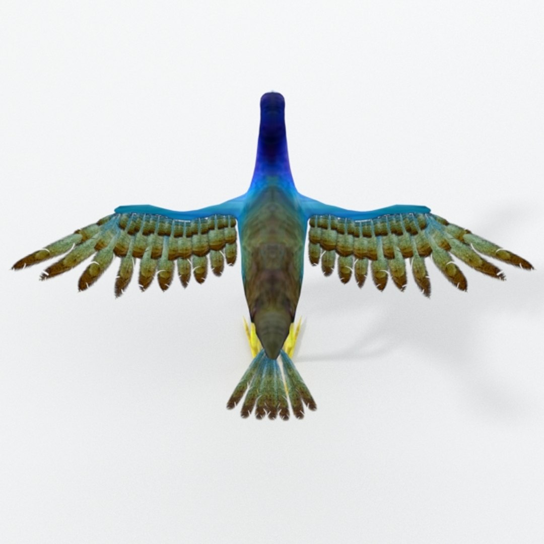 Tingua 3D Model - TurboSquid 1394953