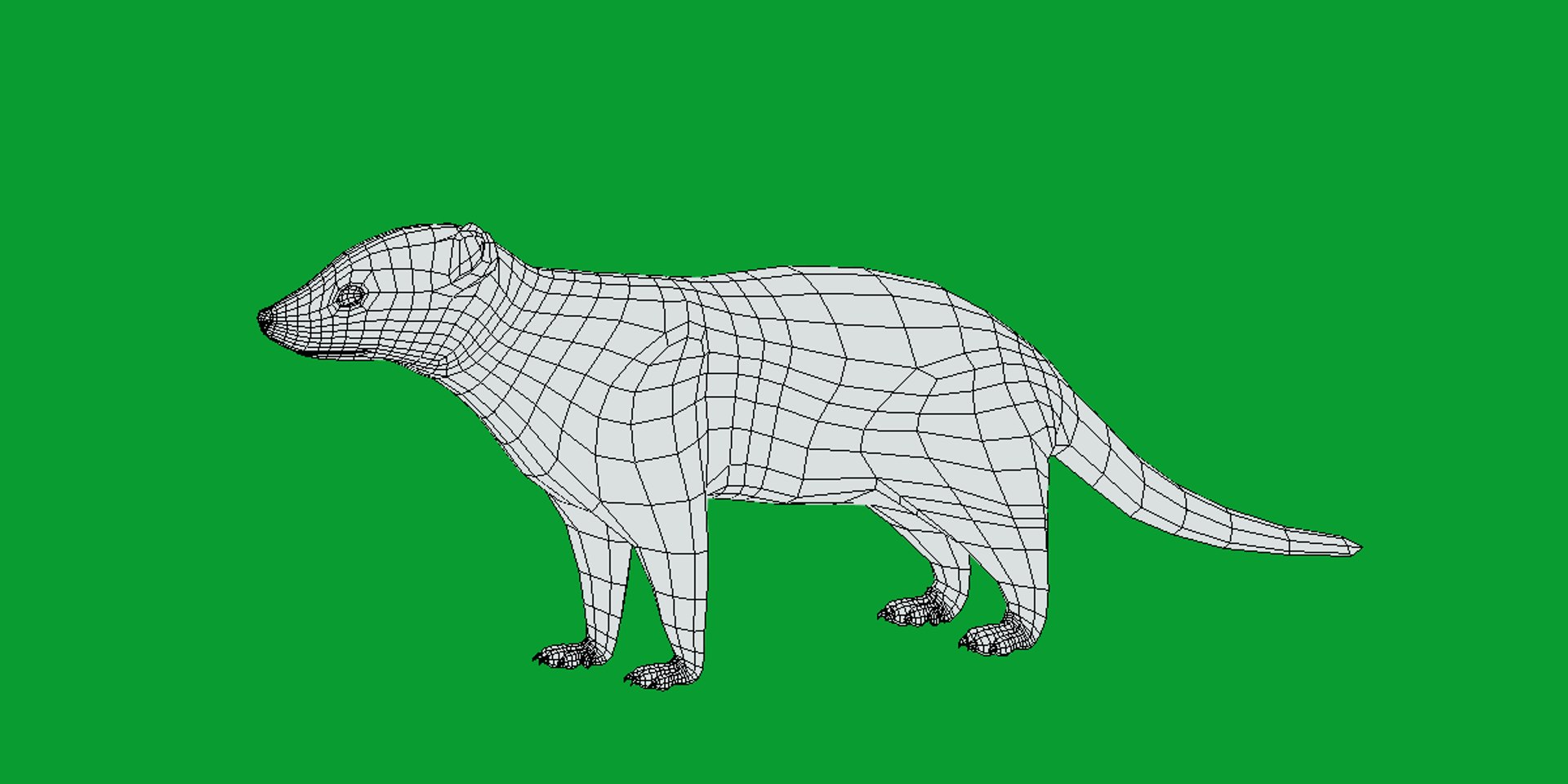 BandedMongoose Model - TurboSquid 2365474