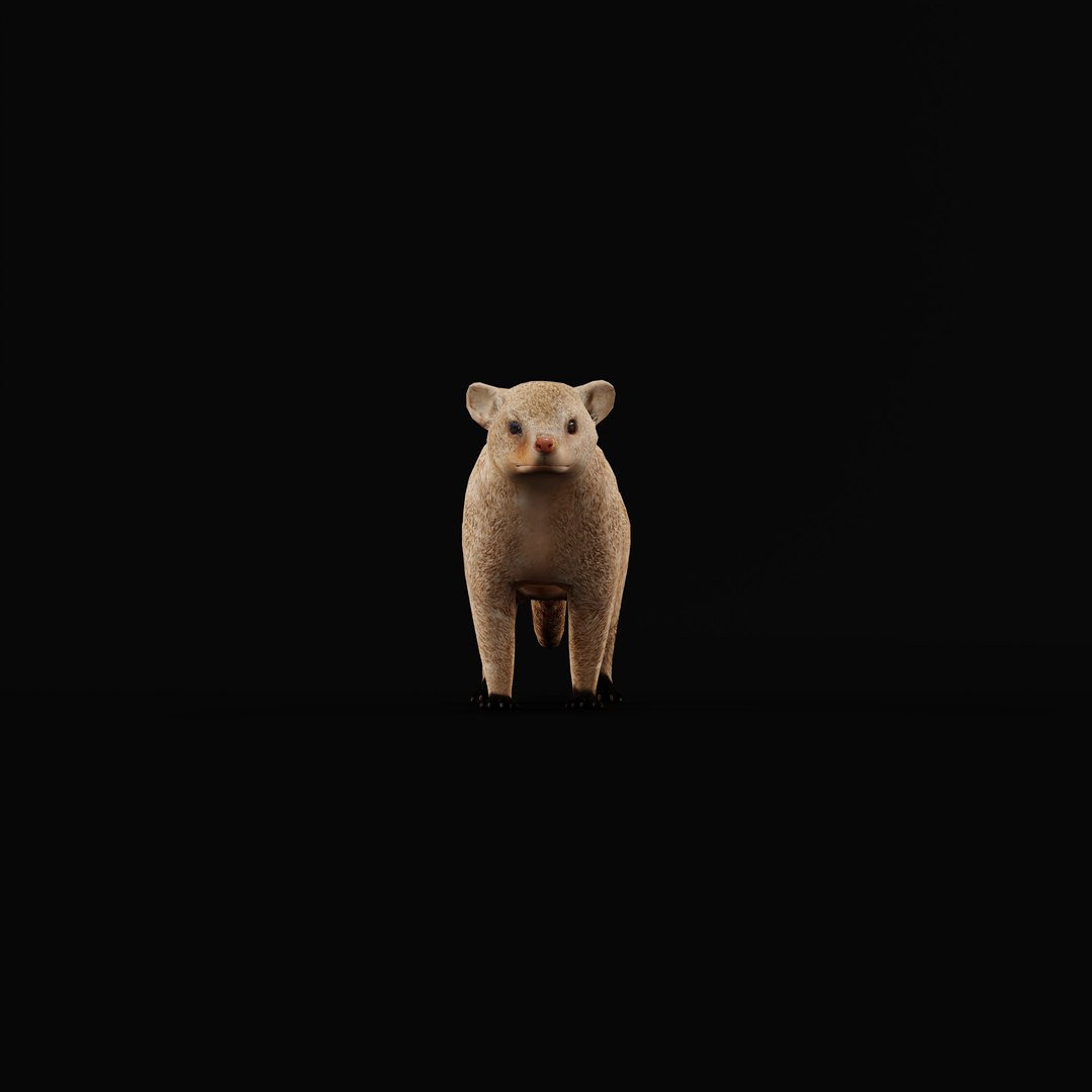 BandedMongoose Model - TurboSquid 2365474
