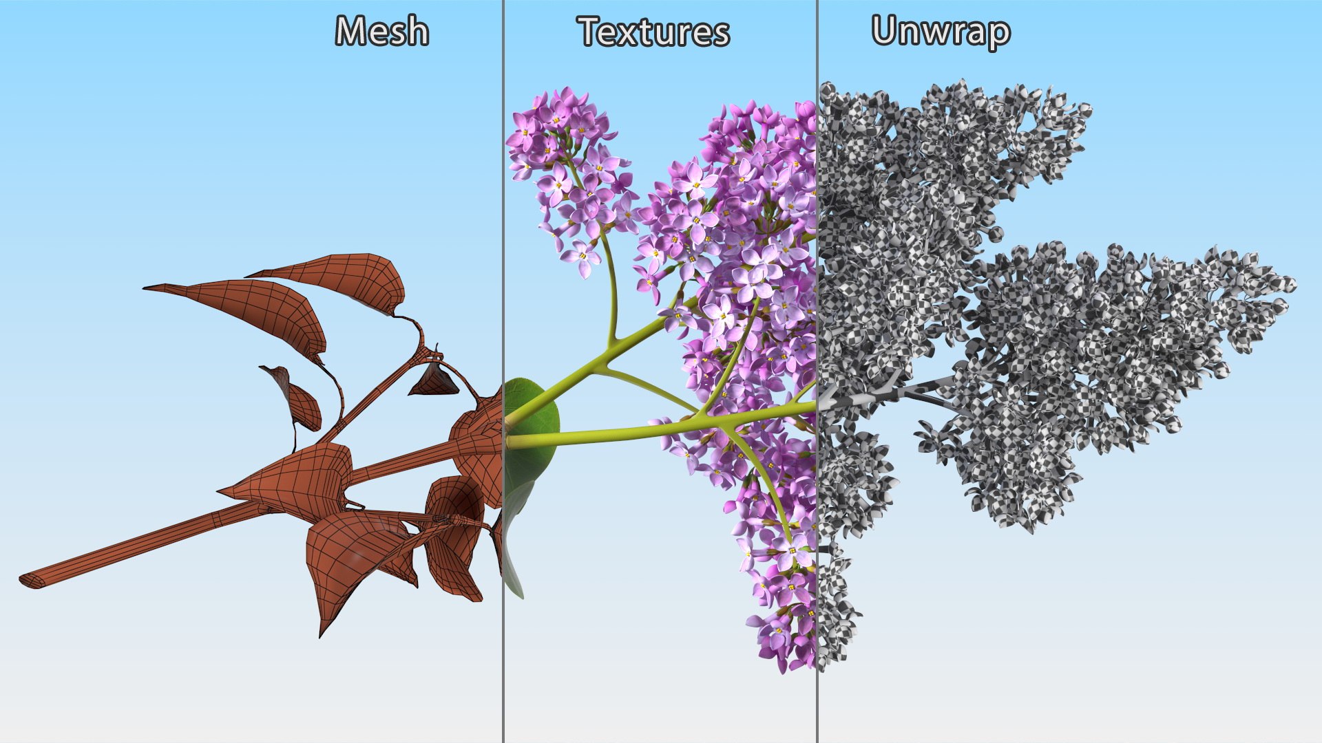 Lilac Branch 3D model - TurboSquid 2145569