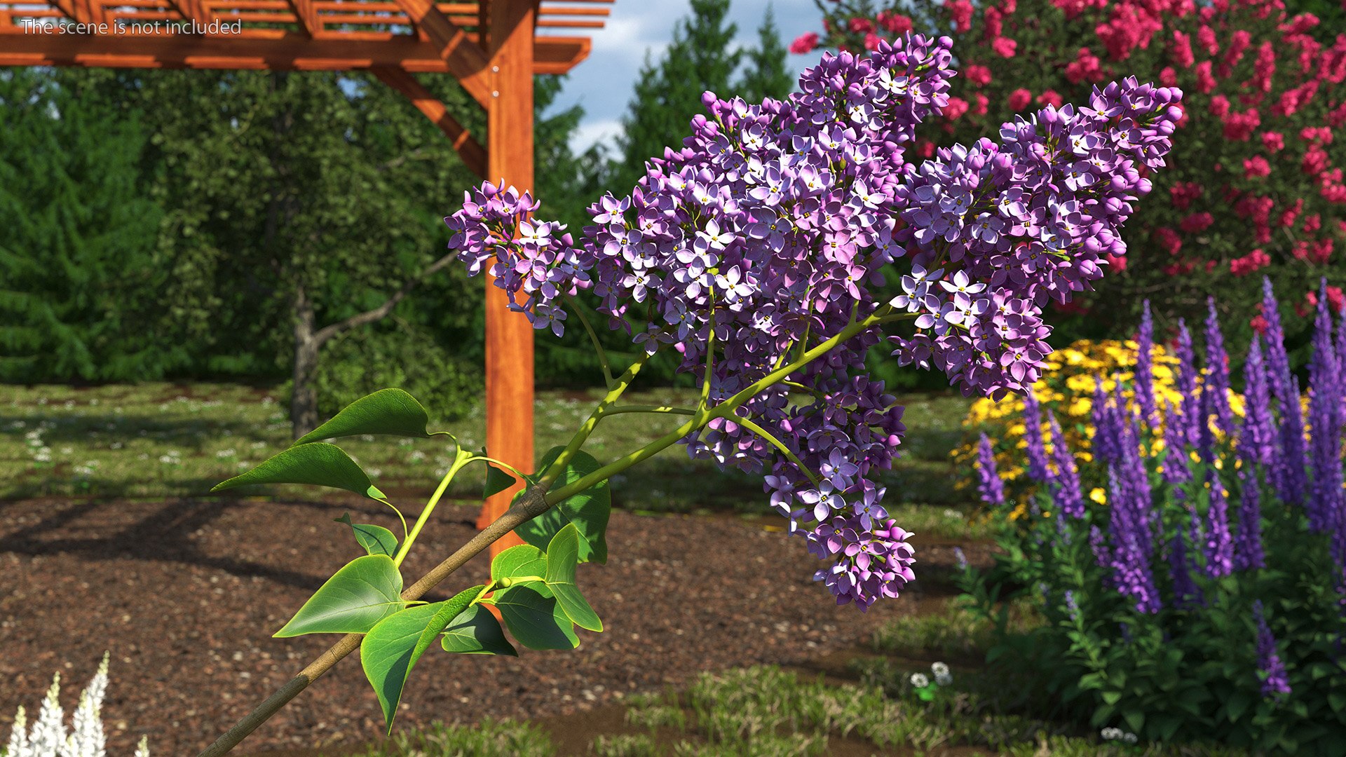 Lilac Branch 3D model - TurboSquid 2145569