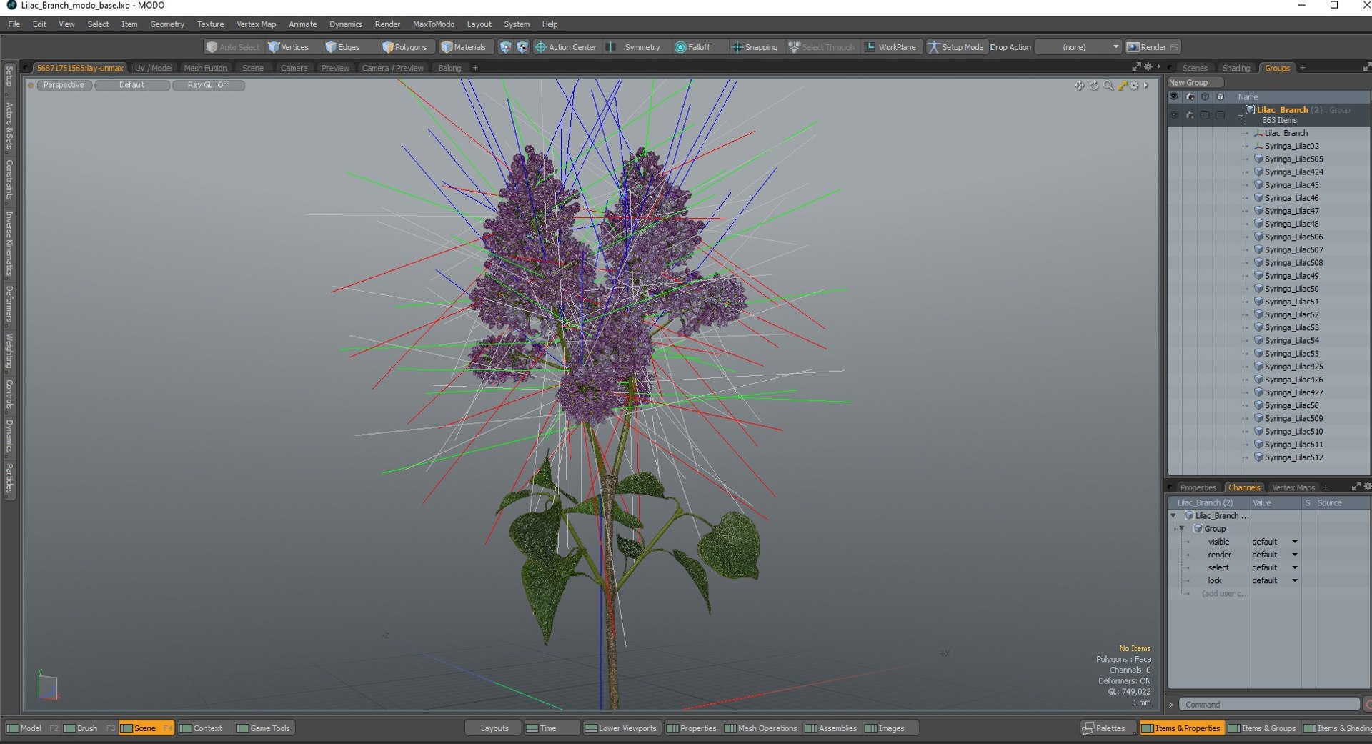 Lilac Branch 3D model - TurboSquid 2145569