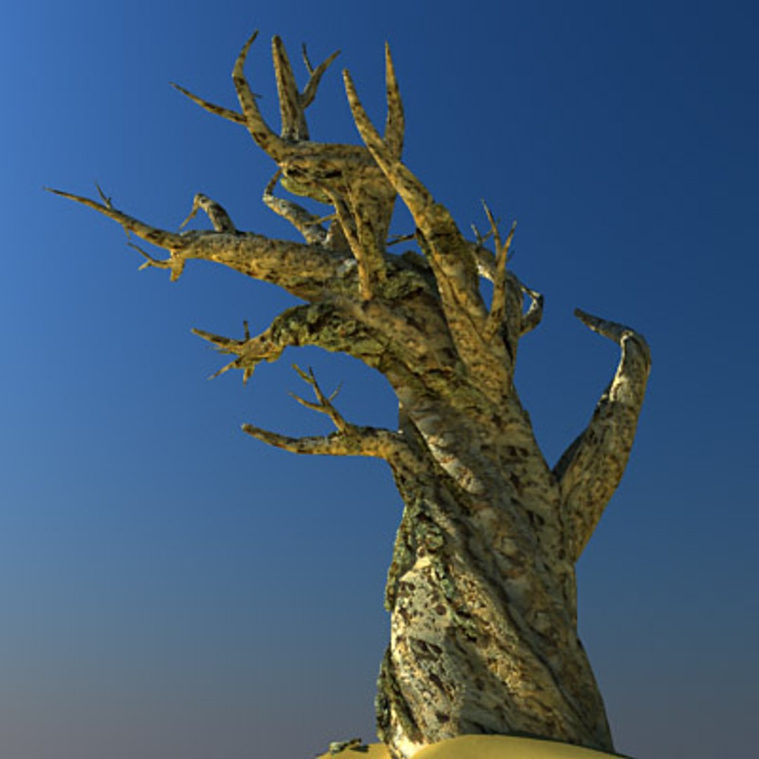 old tree 3d model