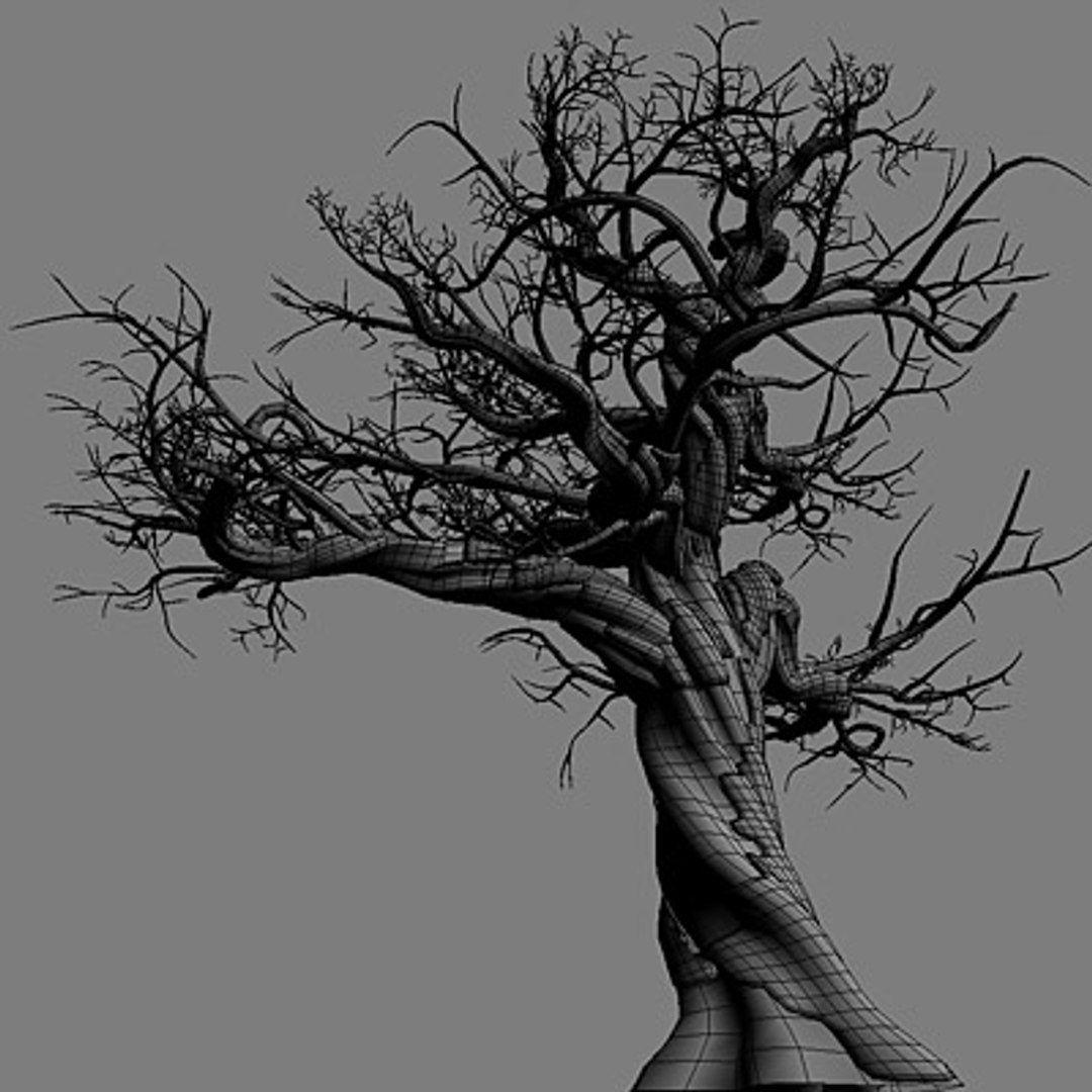 old tree 3d model