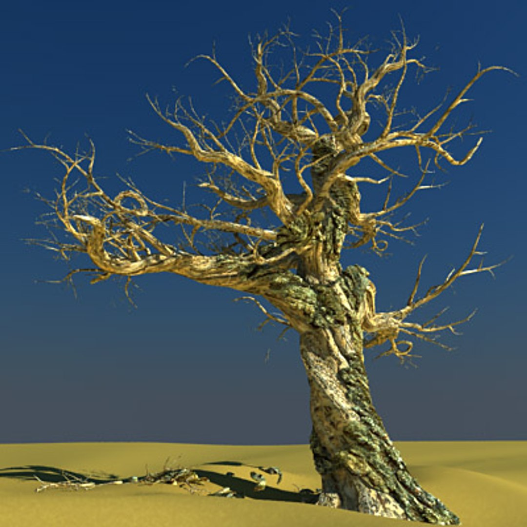 old tree 3d model