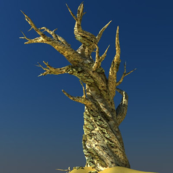 old tree 3d model