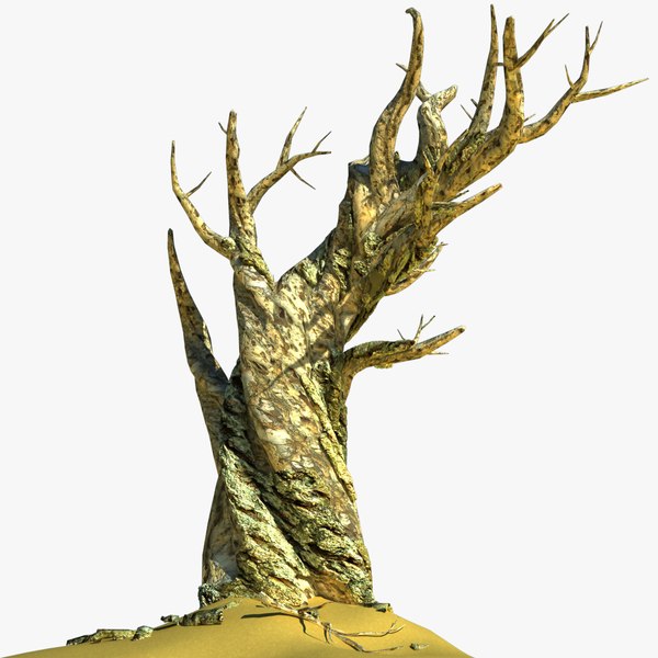 old tree 3d model
