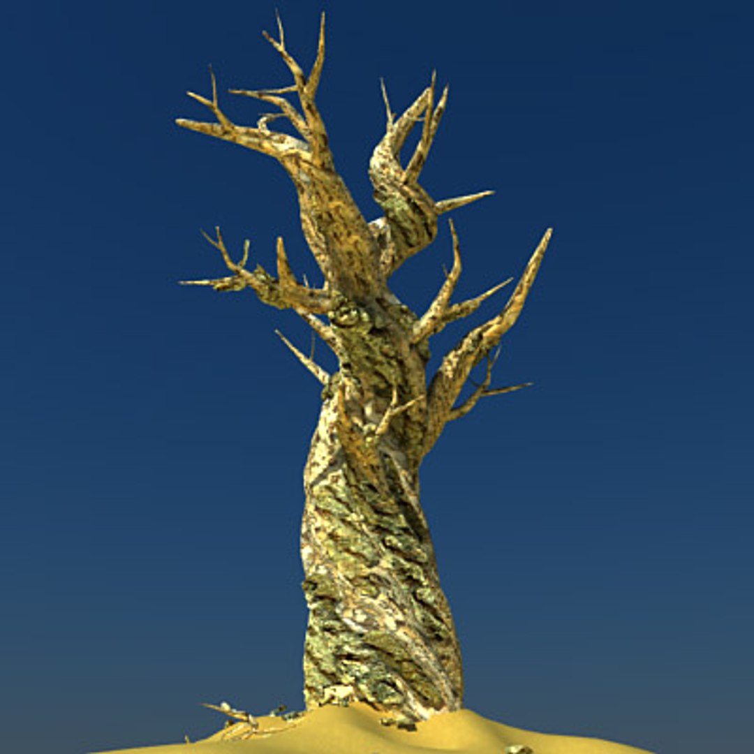 old tree 3d model