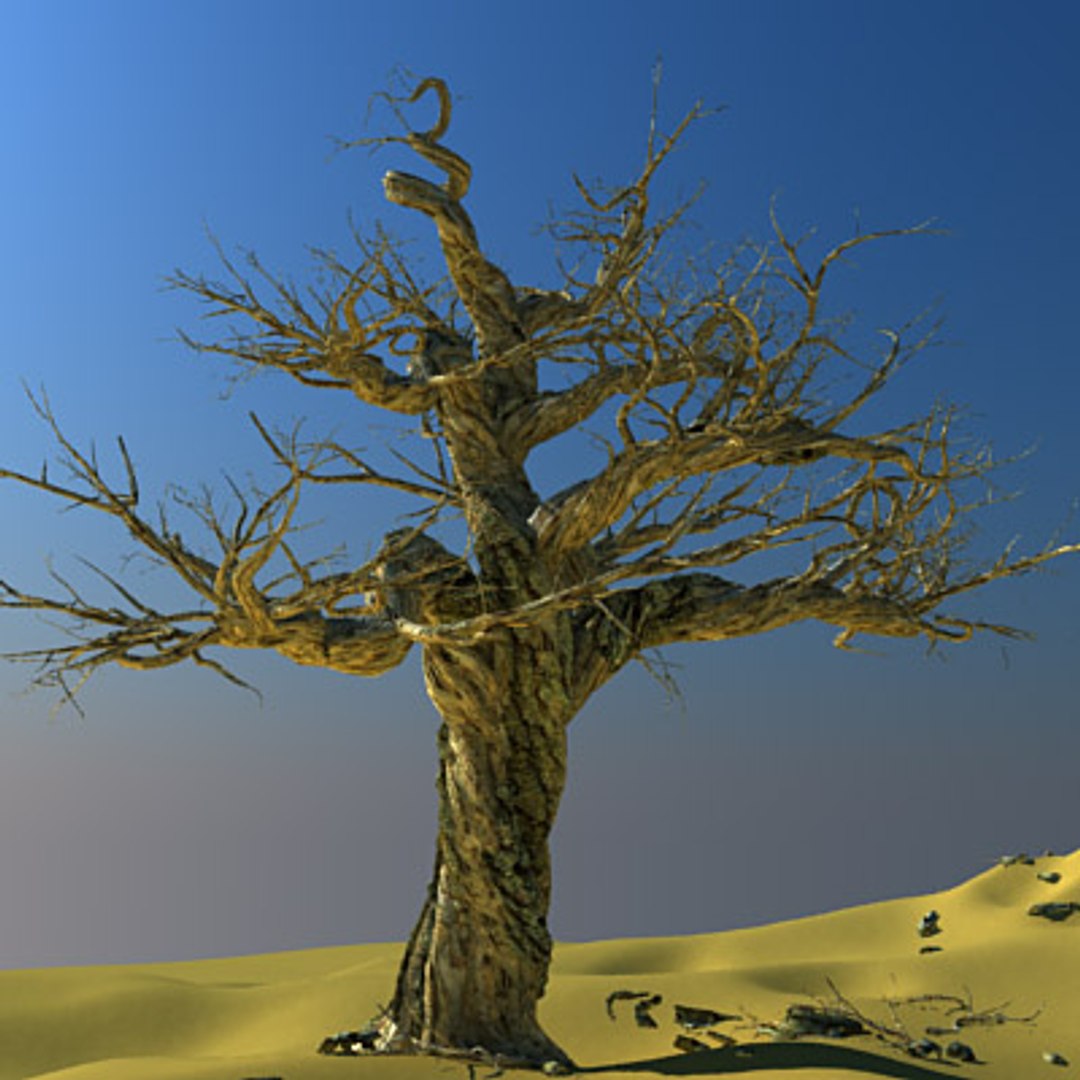 old tree 3d model