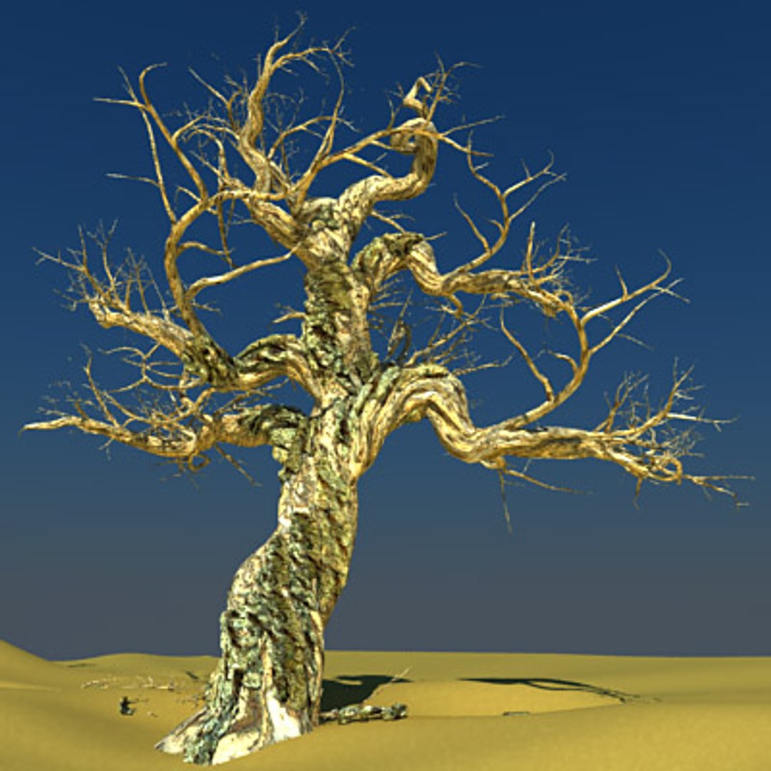 old tree 3d model
