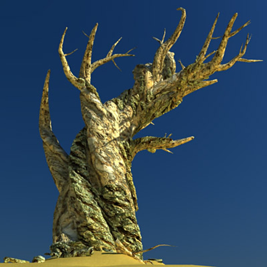 old tree 3d model
